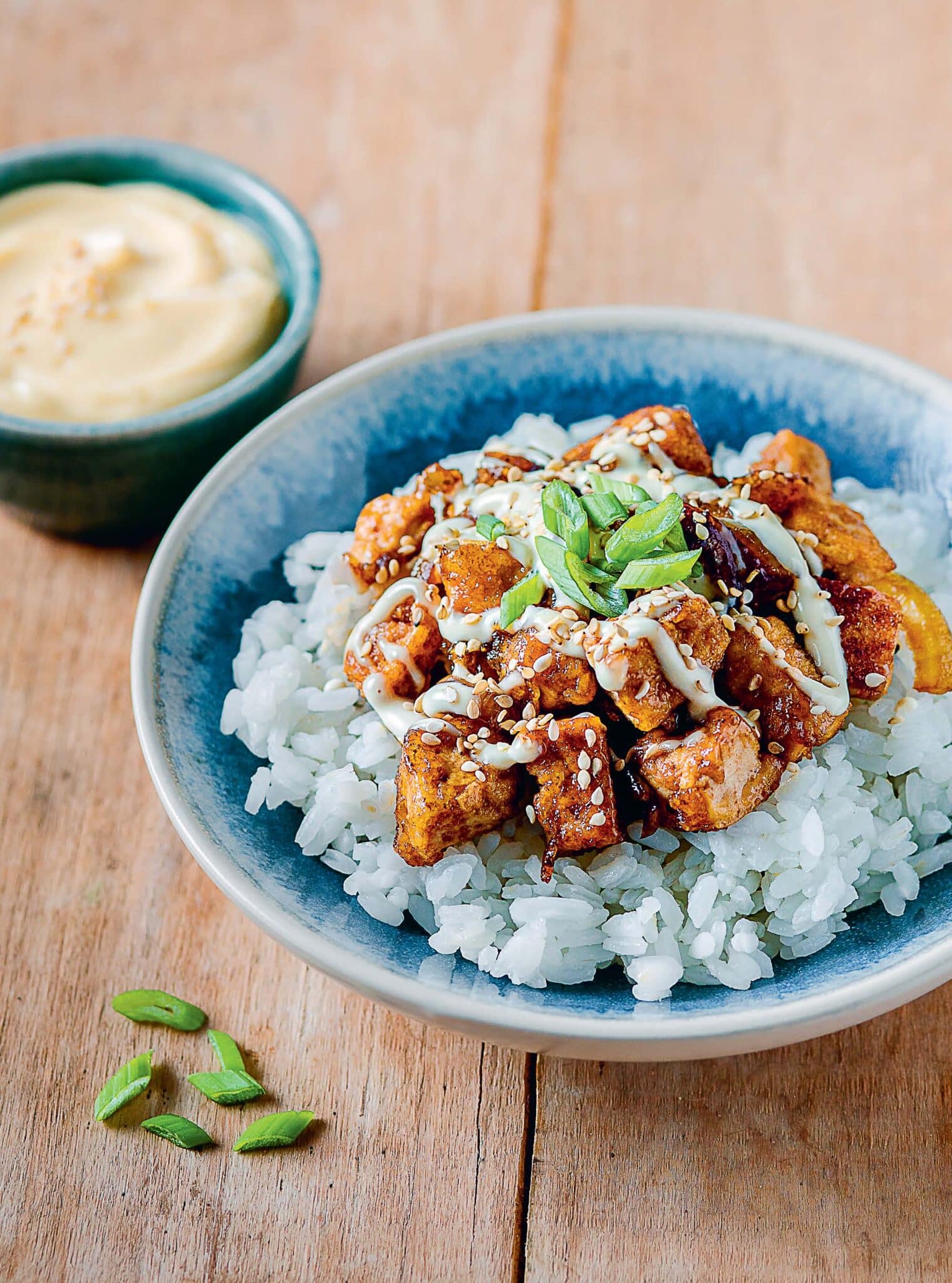 Teriyaki Tofu Don - Keep On Cookin'